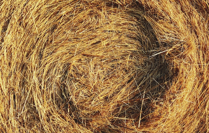 Needle in a haystack? When patients go missing | Tangiers International